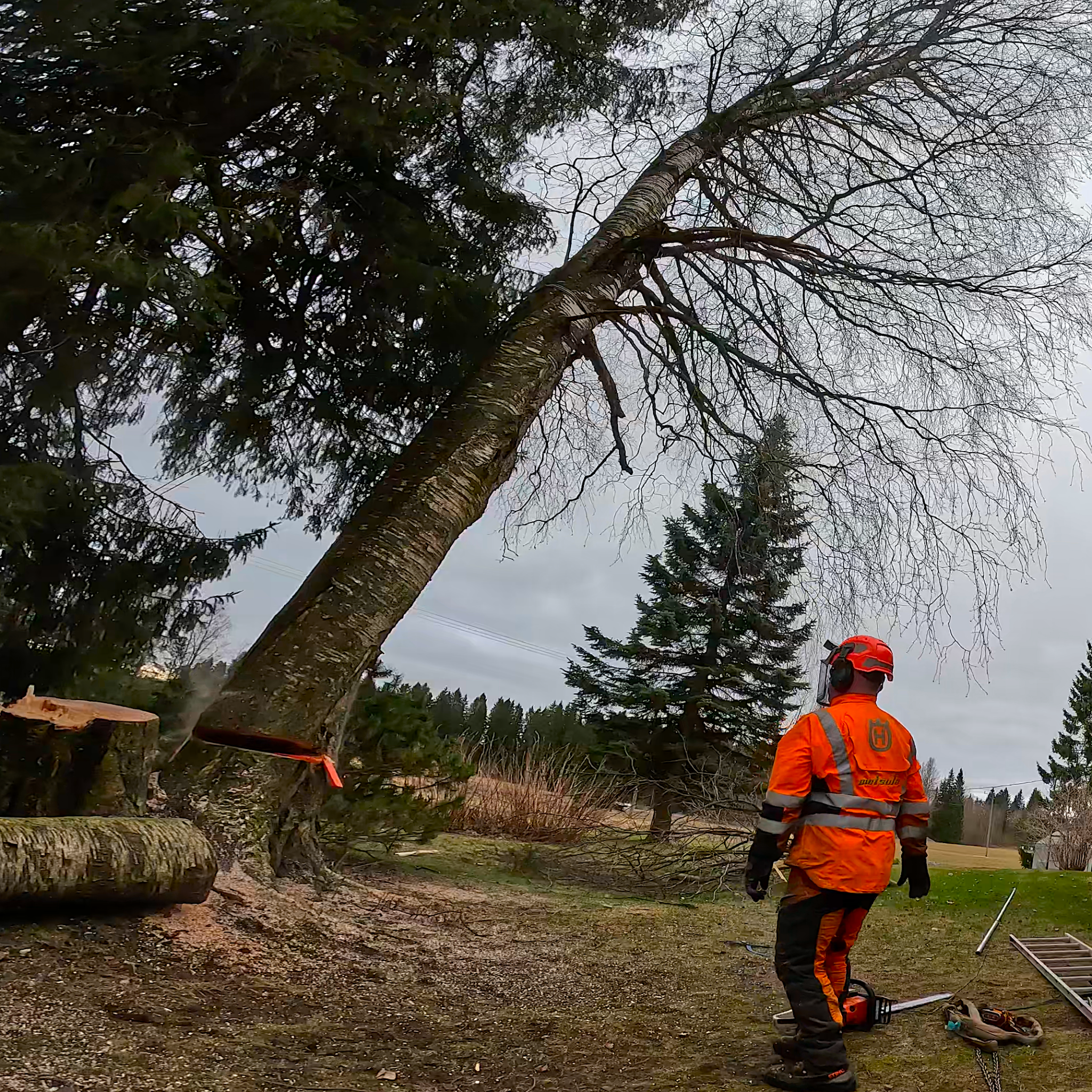 Post from Finnish Lumberjack