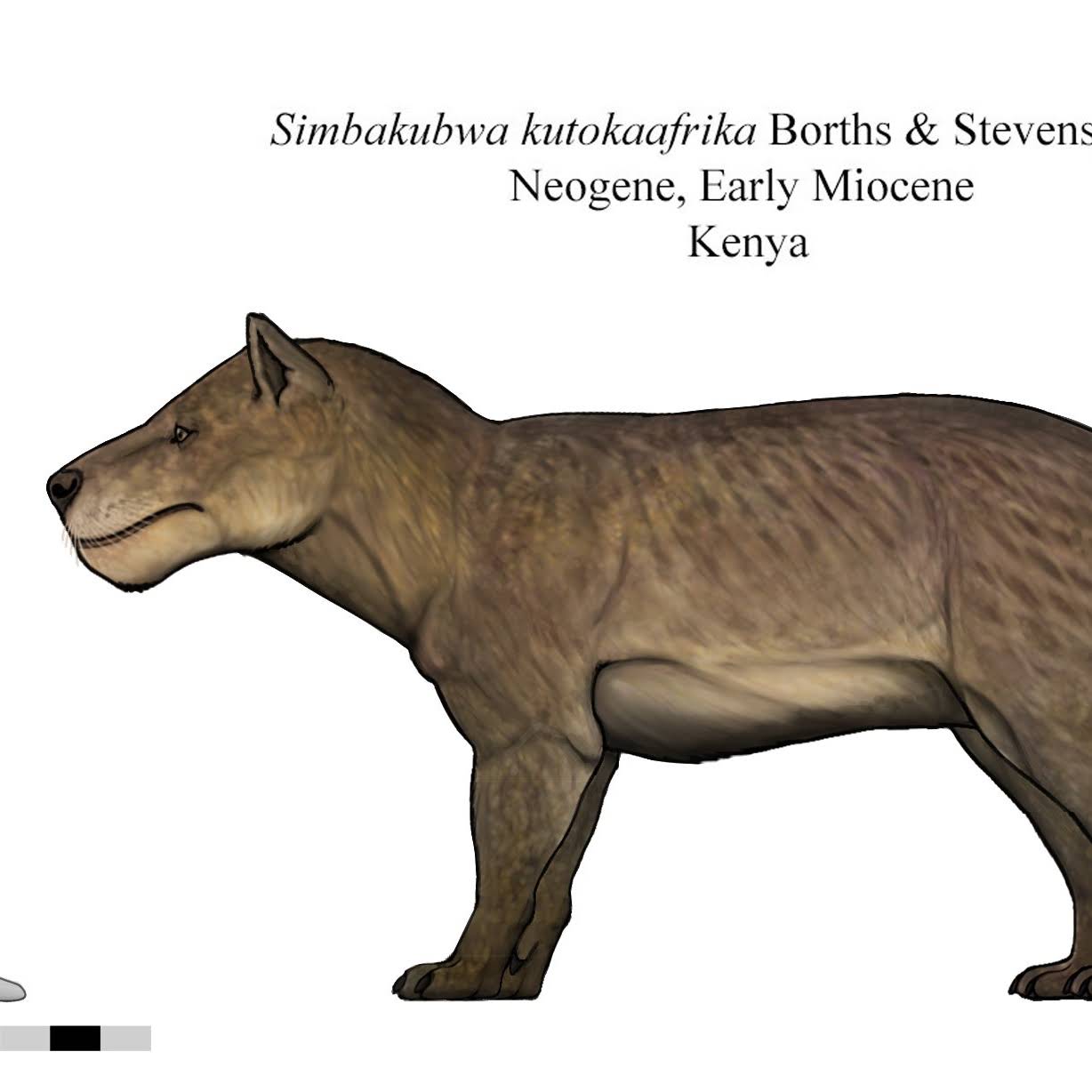 Post from Dizzy Rose