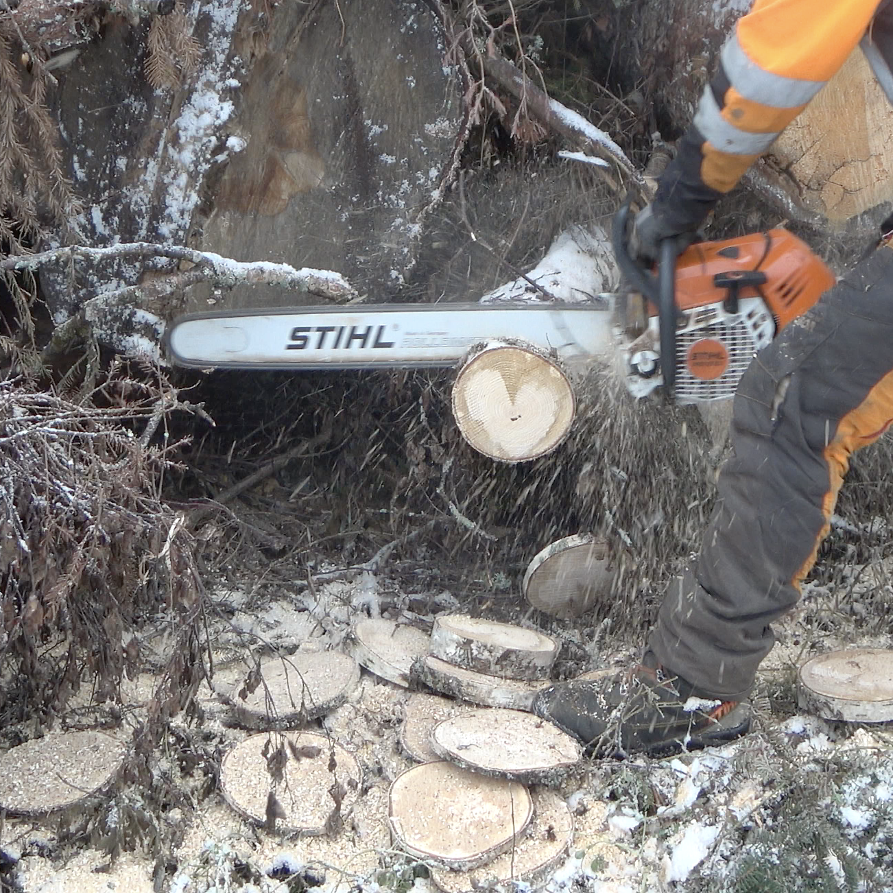 Post from Finnish Lumberjack