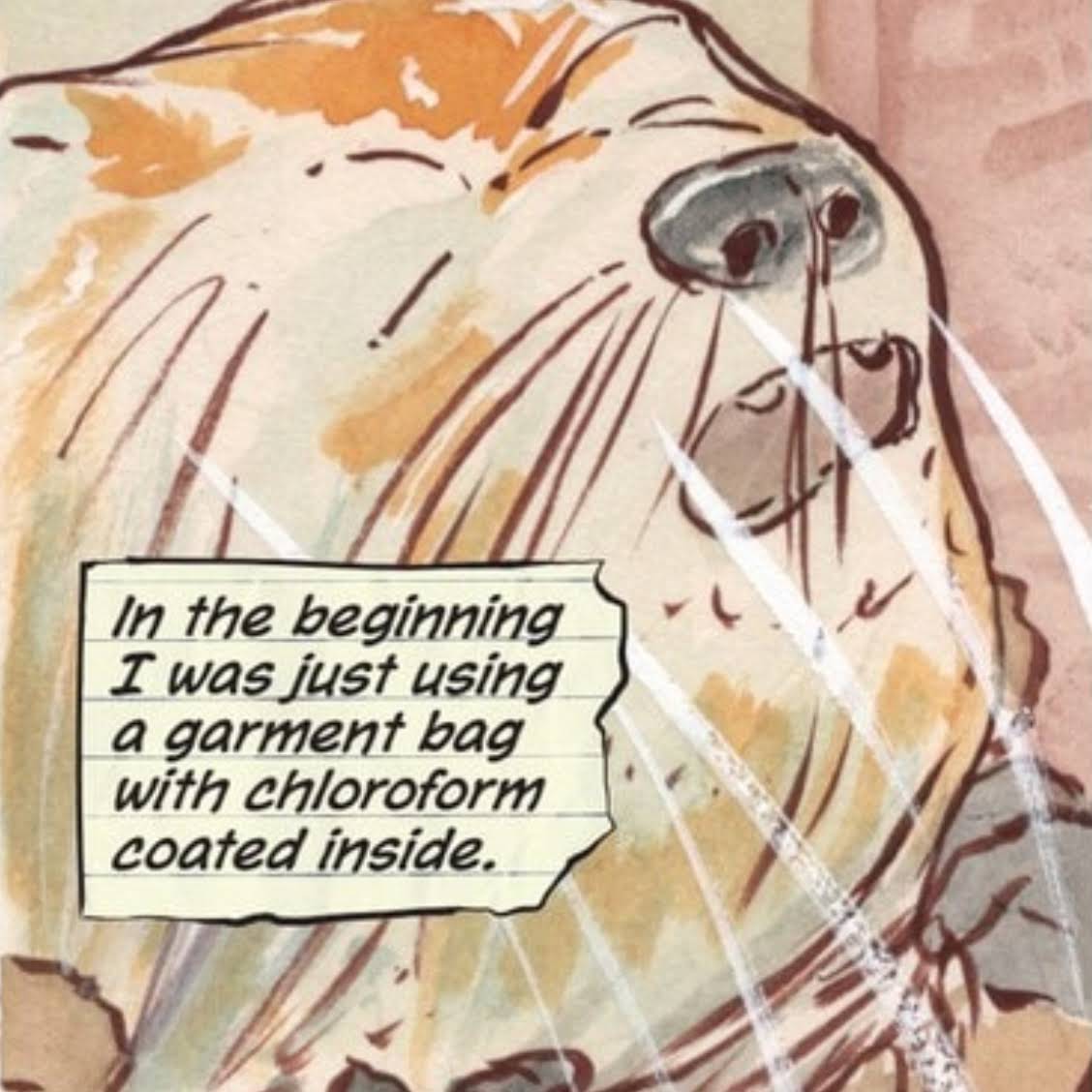 Post from Comic Drops!