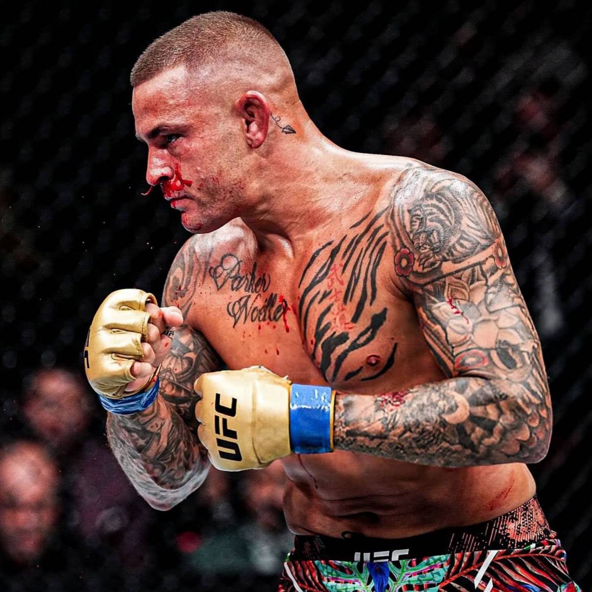 Post from MMA review