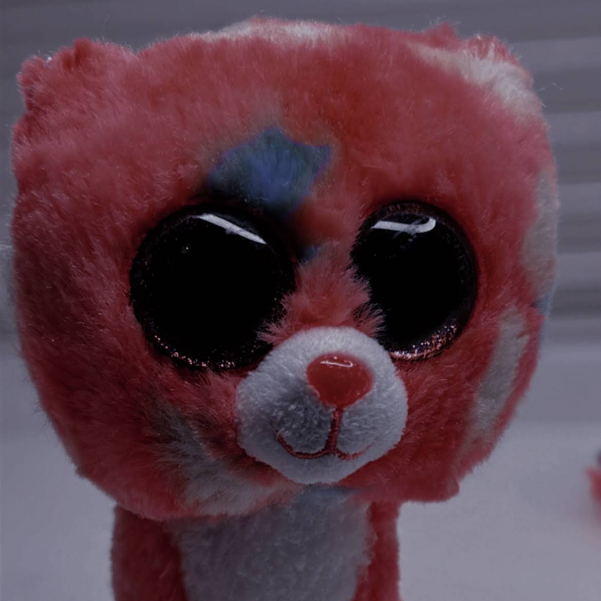 Post from Beanie Boo Wolf
