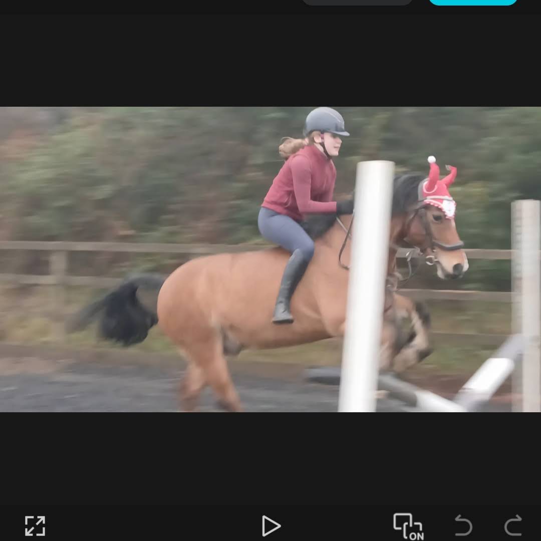 Post from Molly and her ponies