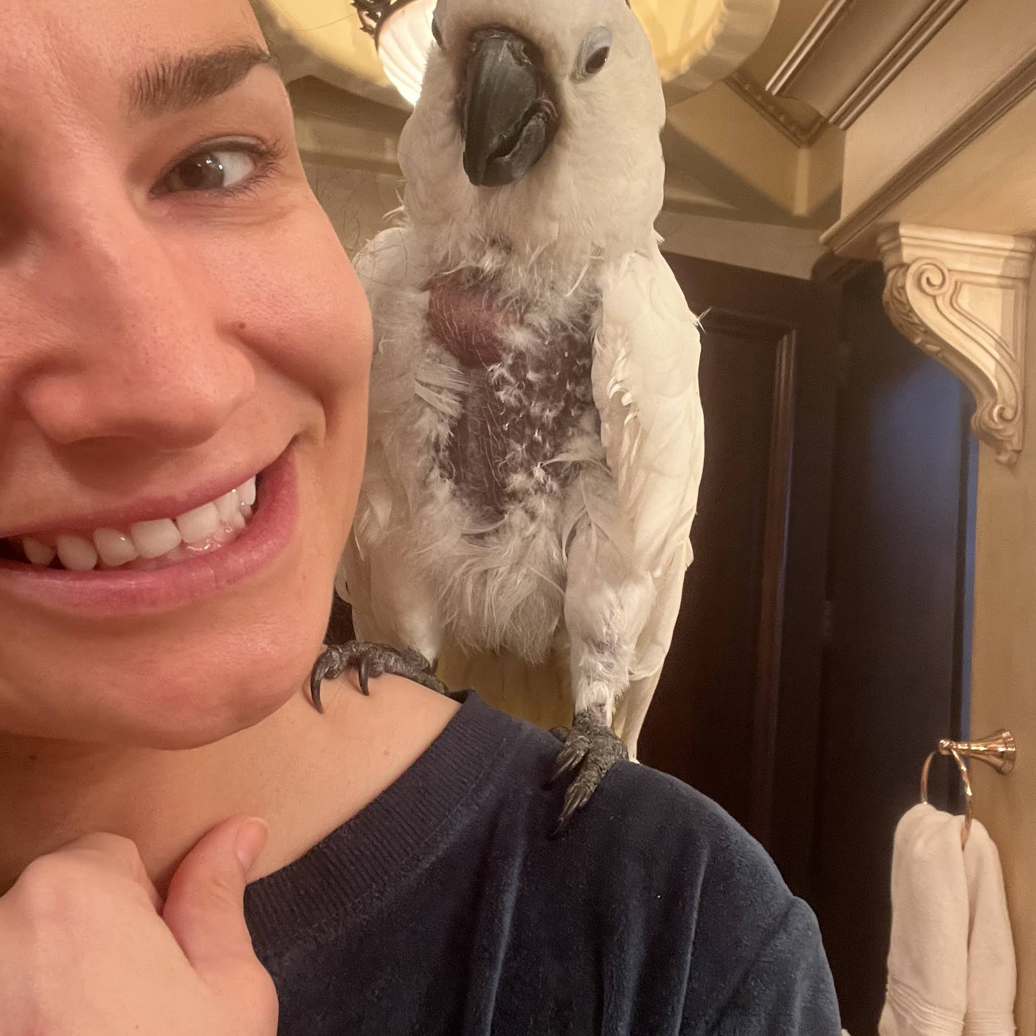 Post from The Parrot Lady