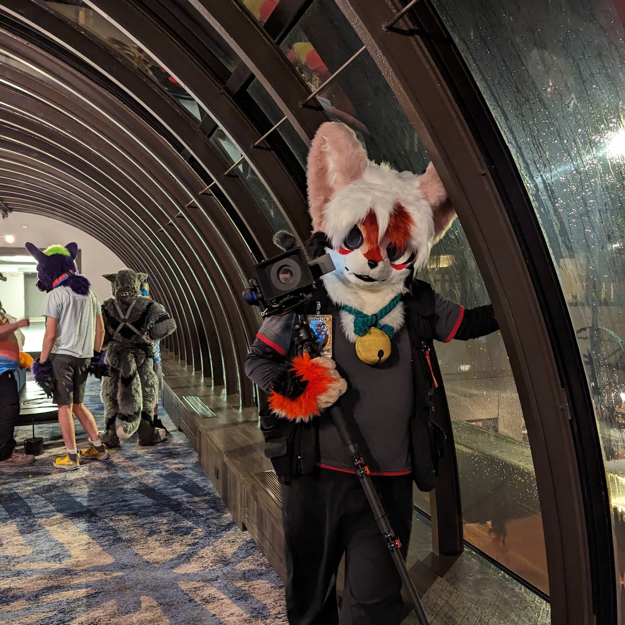 Post from Kite's Guide to Being Furry