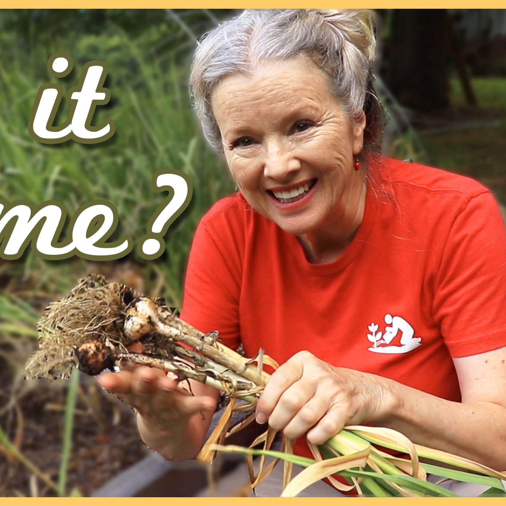 Post from Kaye Kittrell Late Bloomer