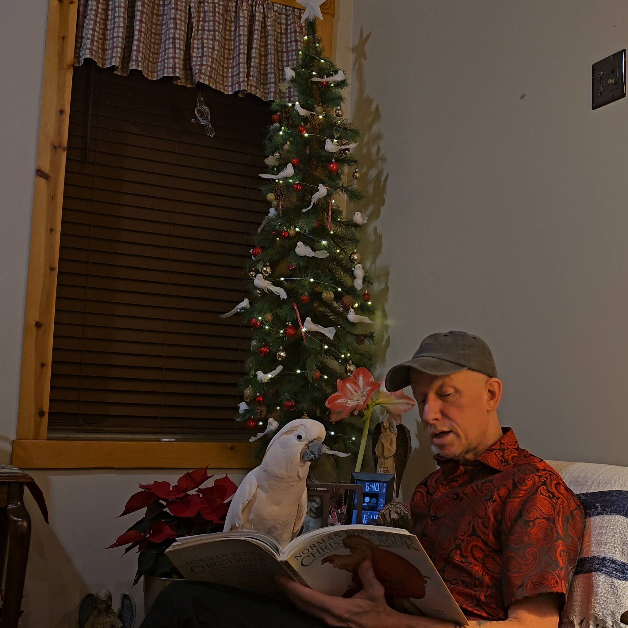 Post from Mr. Max T.V.