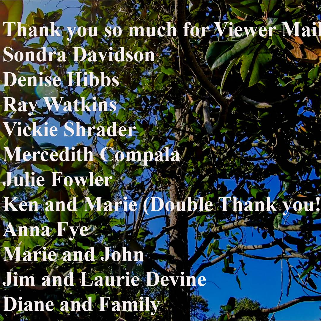 Post from Walter Mallard