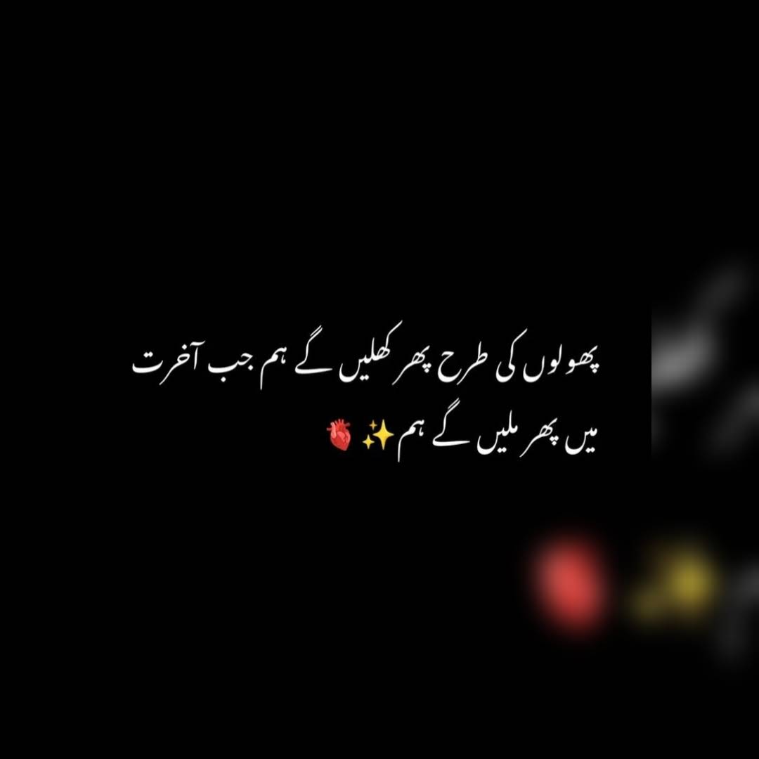 Post from SaMreen HasHmi