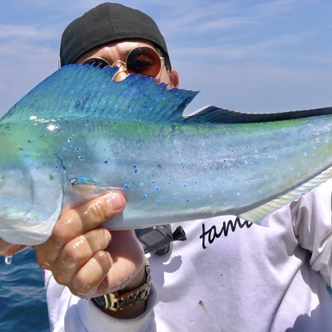 Post from tama fishing Japan