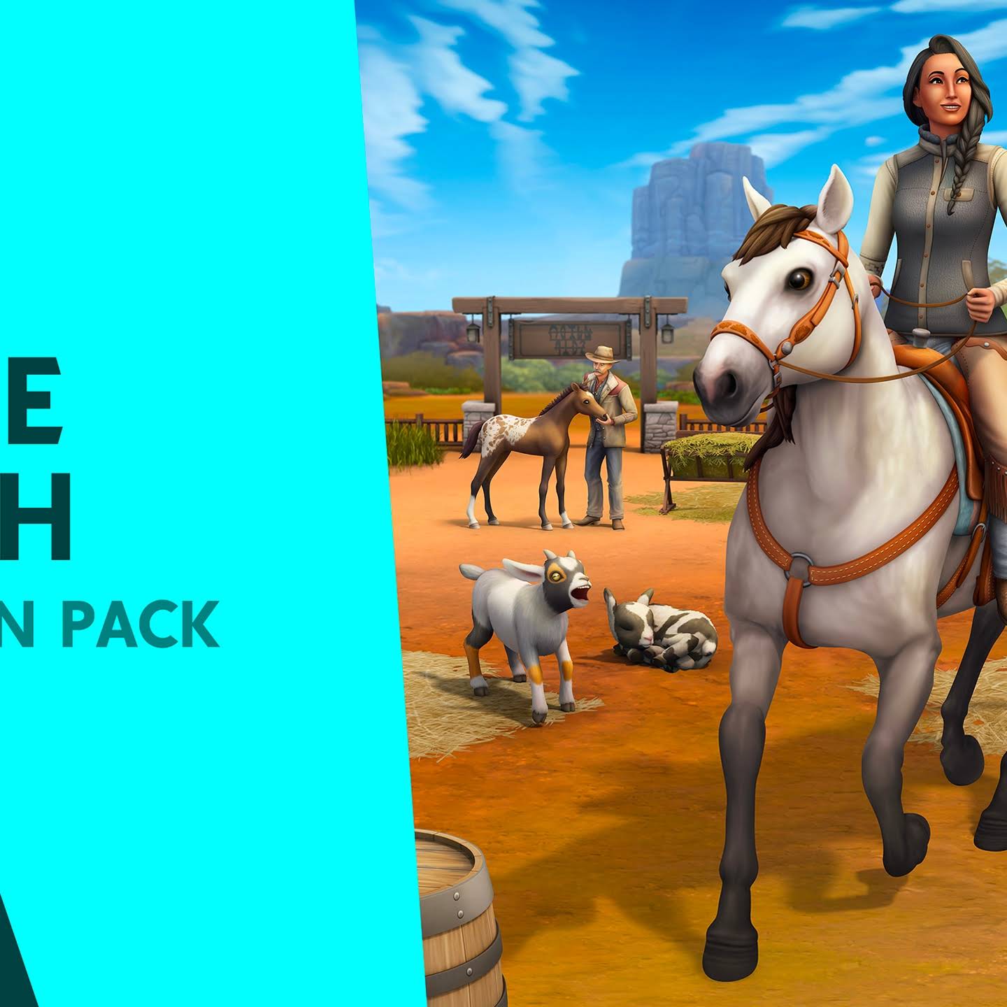 Post from Boring Bones Tv