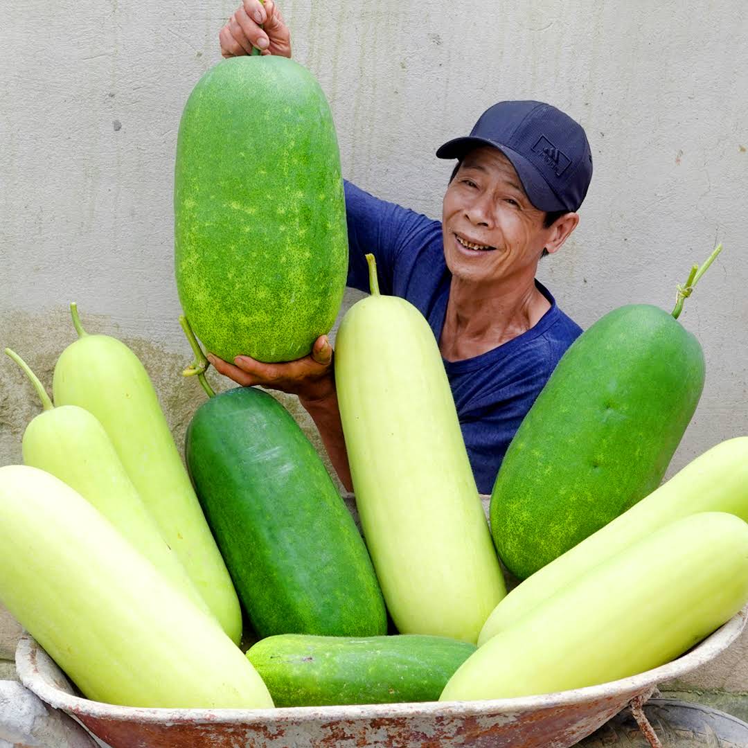 Post from TEO Garden