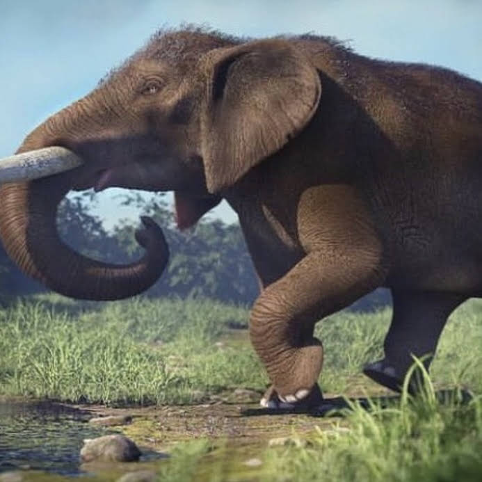 Post from Dizzy Rose