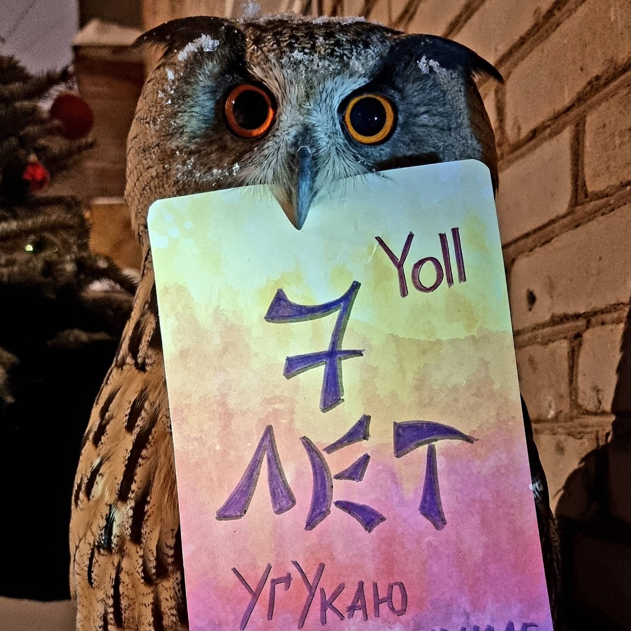 Post from Yoll the Eagle-Owl