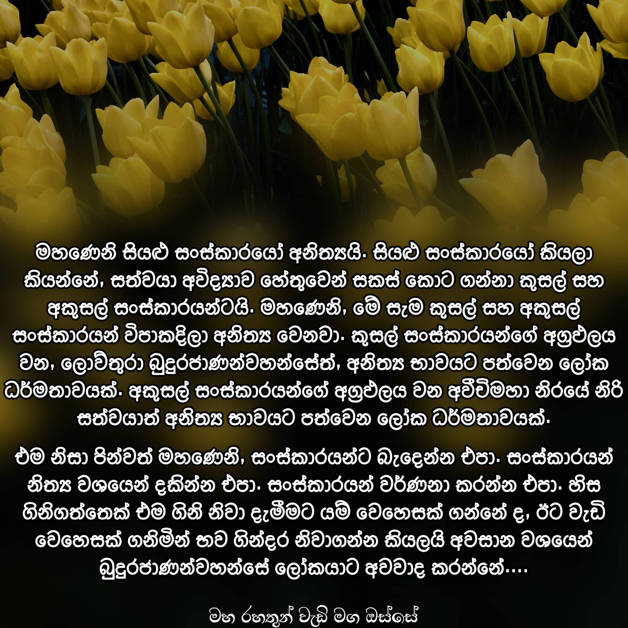 Post from Wishmitha Katupitiya