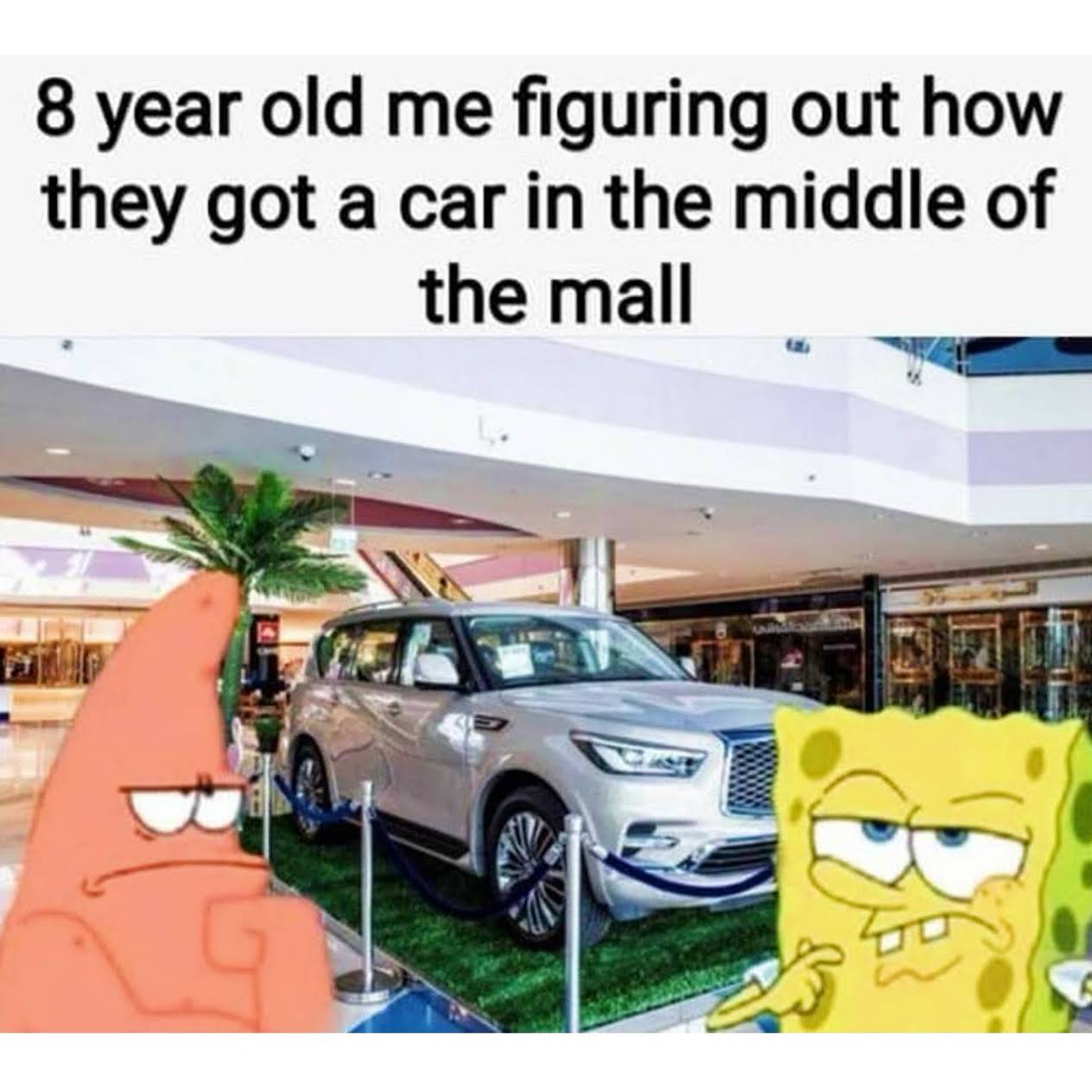 Post from Connor Pugs