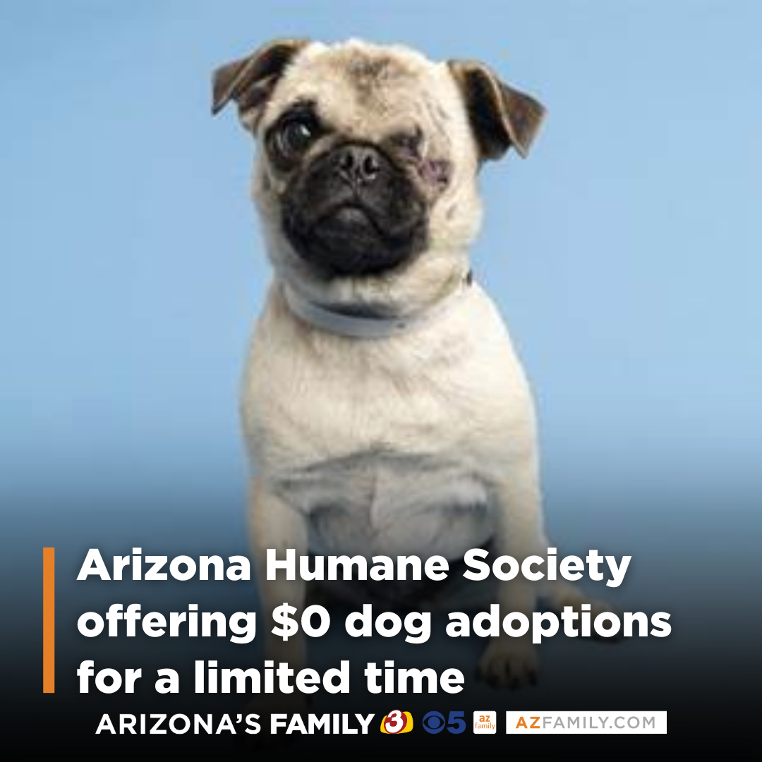 Post from Arizona’s Family (3TV / CBS 5)