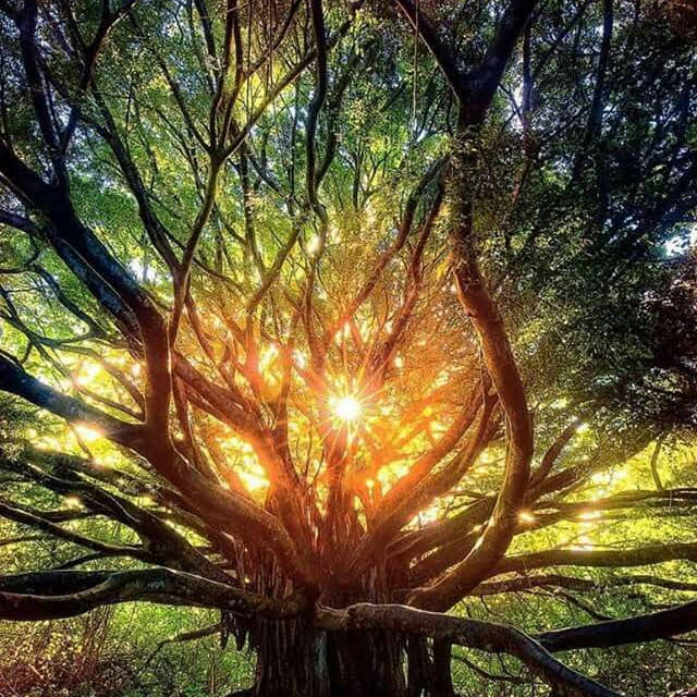 Post from No One Any Moore