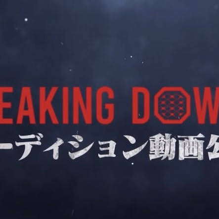 Post from 【公認】BreakingDownの格闘部屋