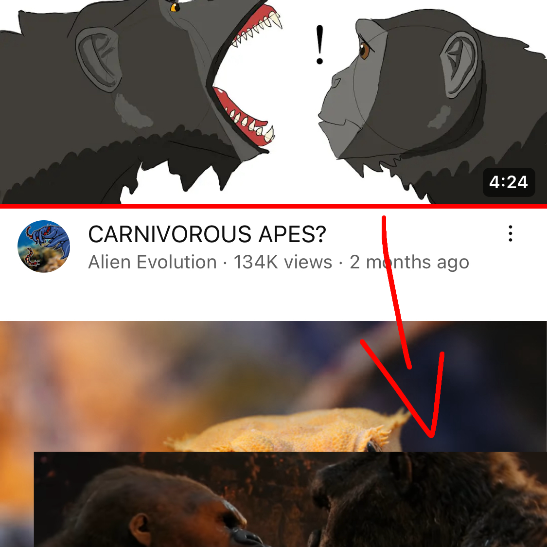 Post from Vincent Marucut 2