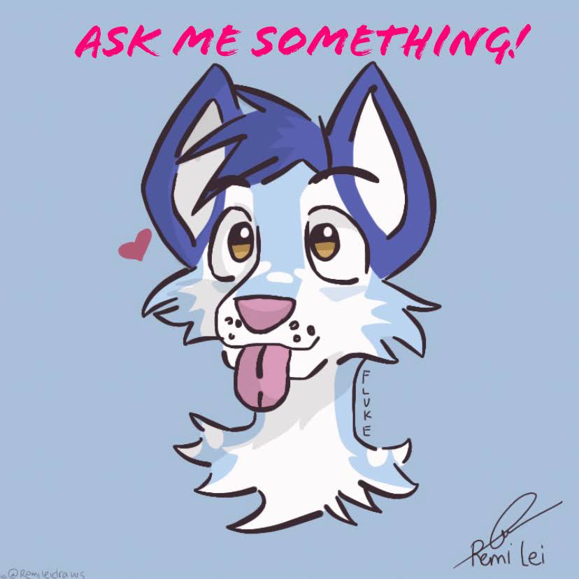 Post from Fluke Husky