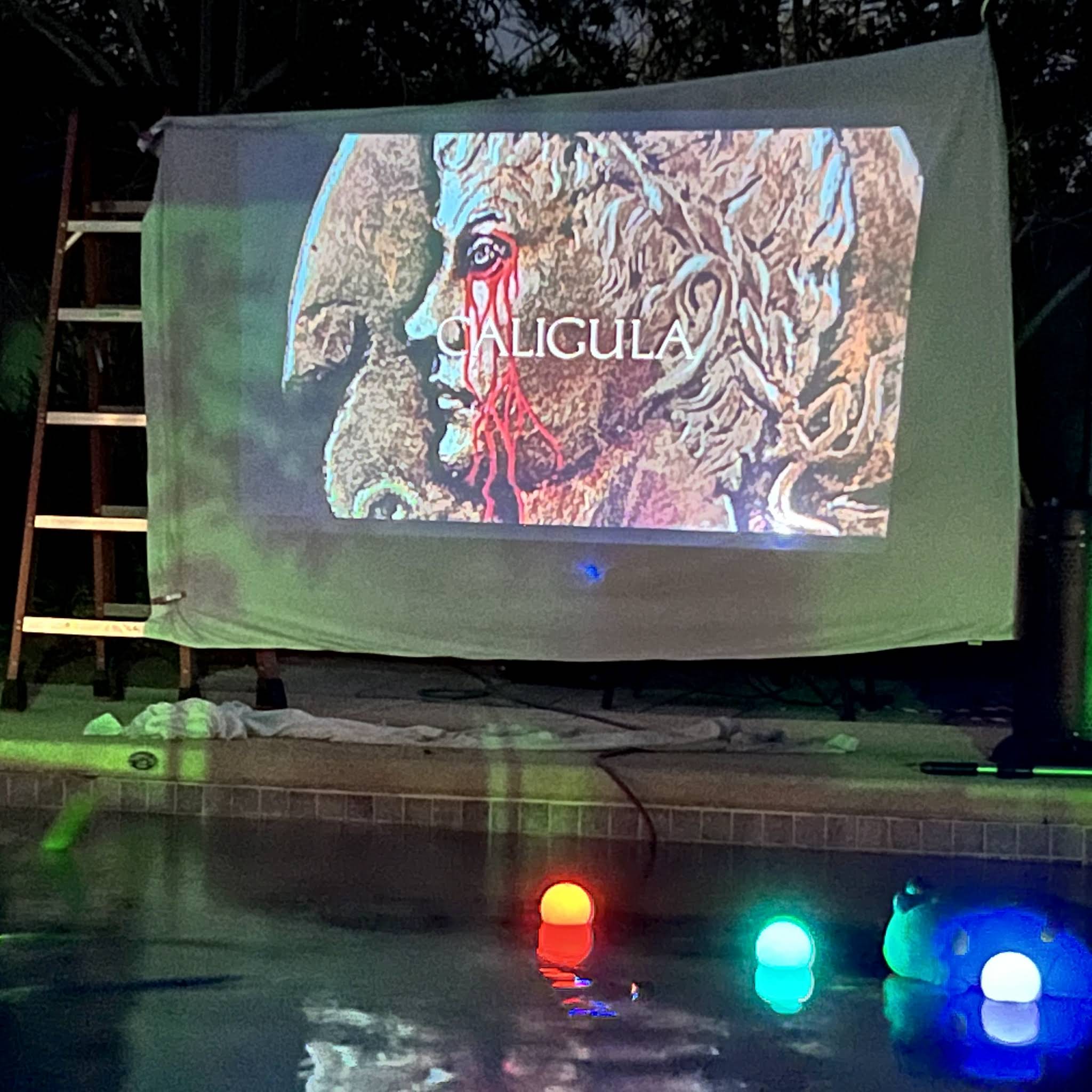 Post from The Manatee Party