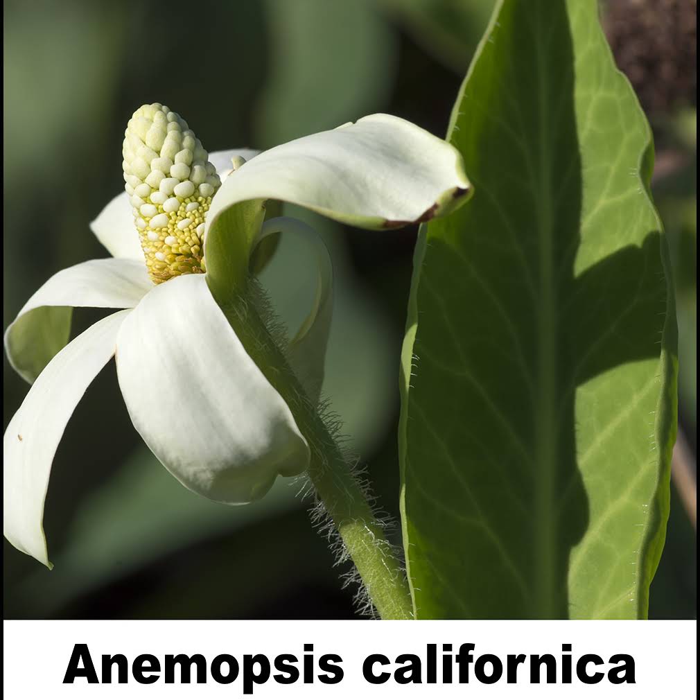 Post from Chad Zuber