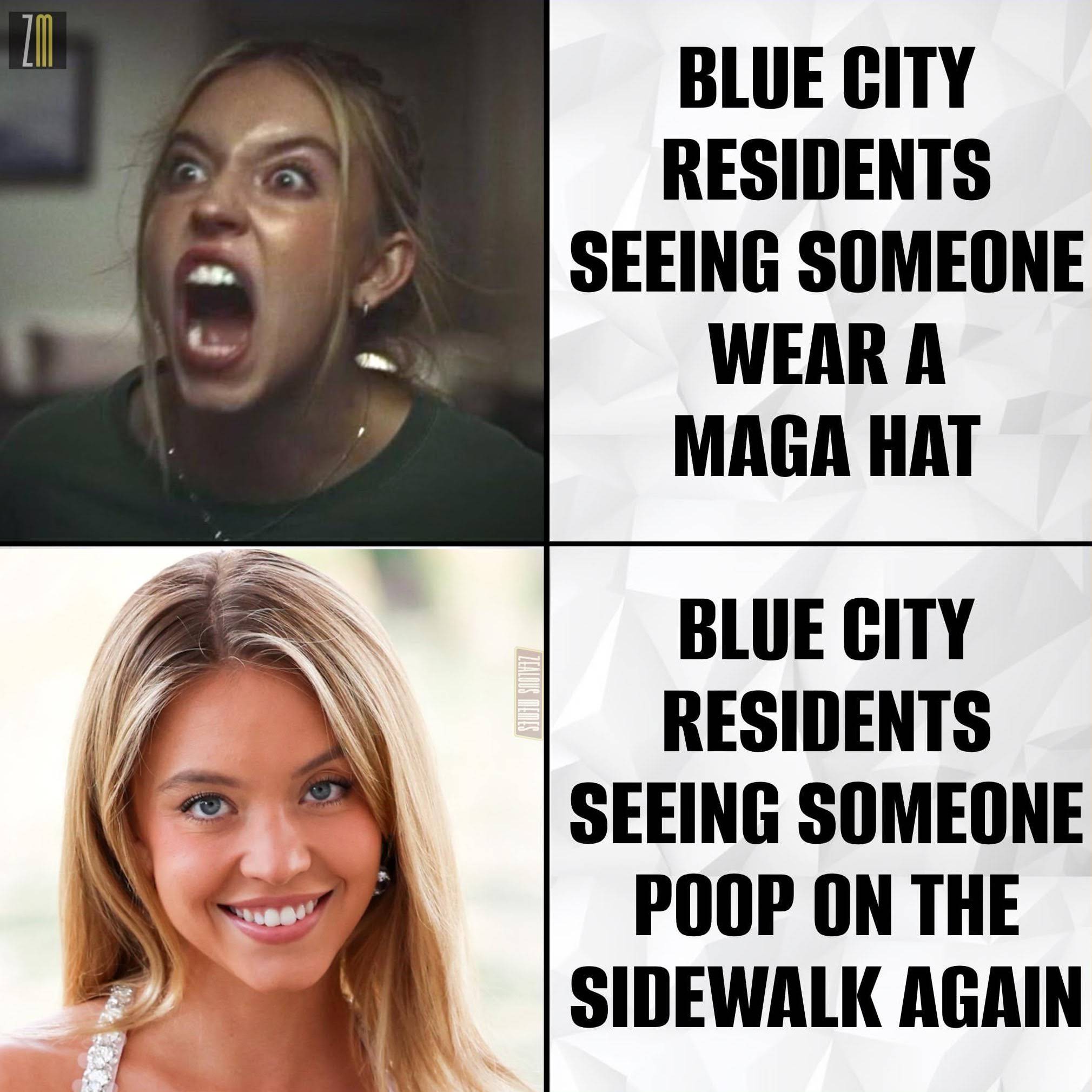 Post from Off Topic Show Memes