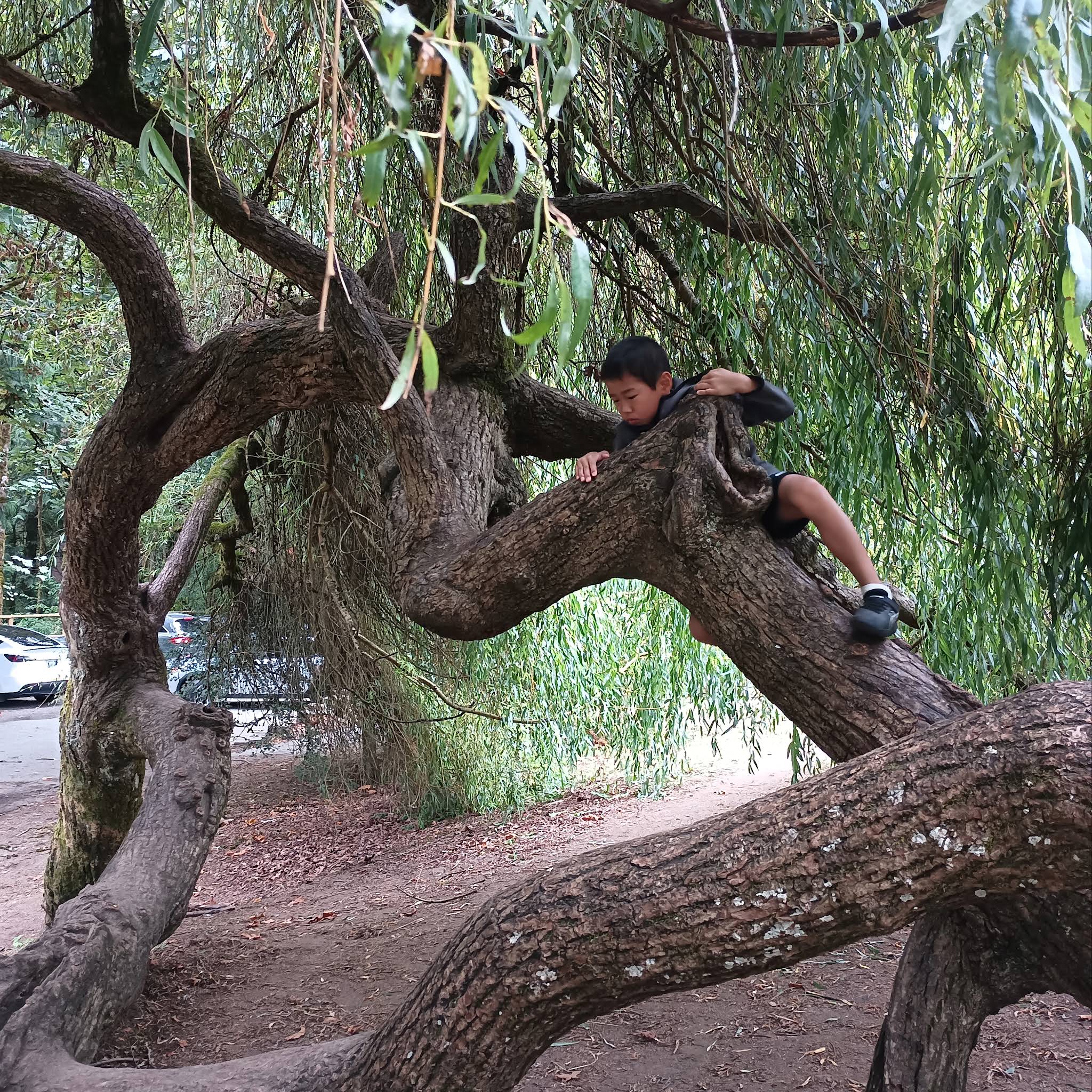 Post from Feldenkrais with Taro Iwamoto