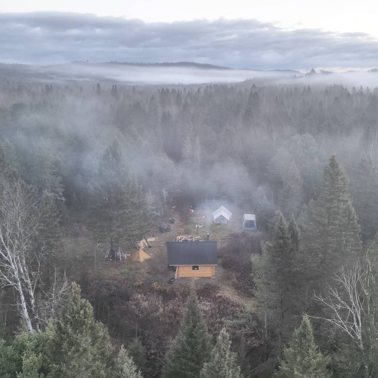 Post from WILD HOMESTEAD