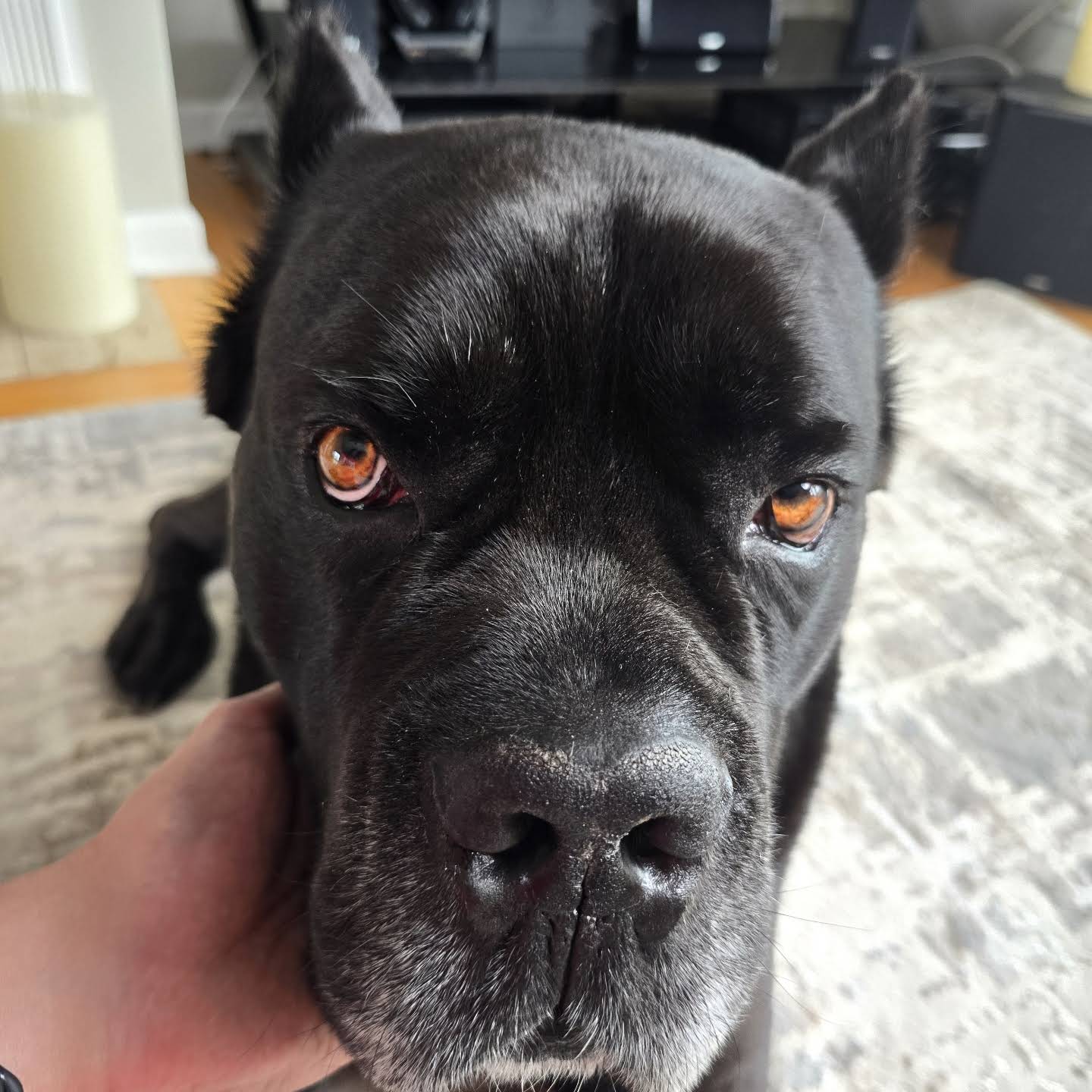 Post from Jason Corey