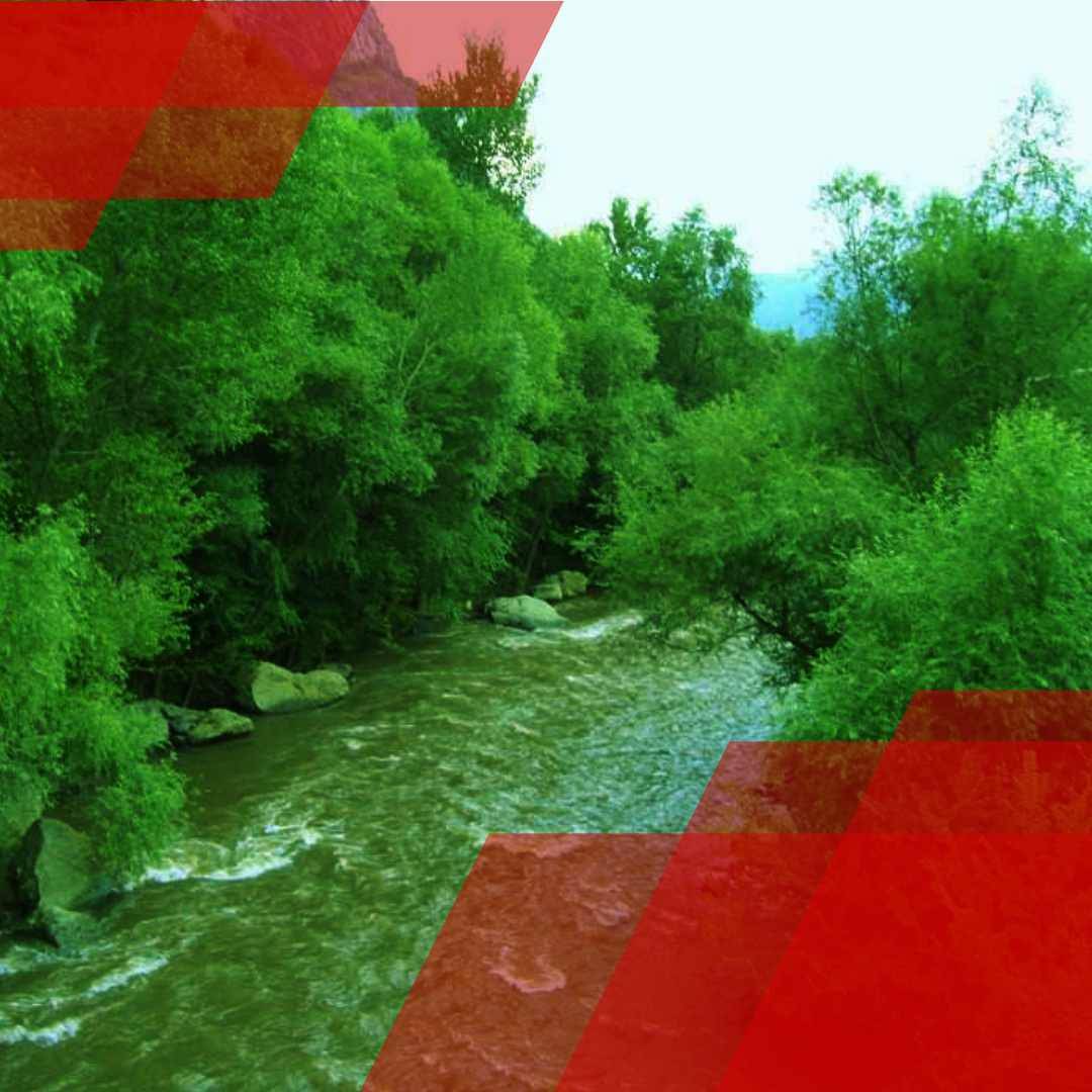 Post from 1in TV