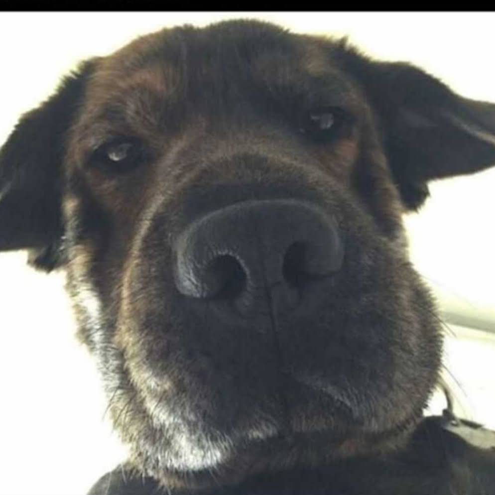 Post from No One Any Moore