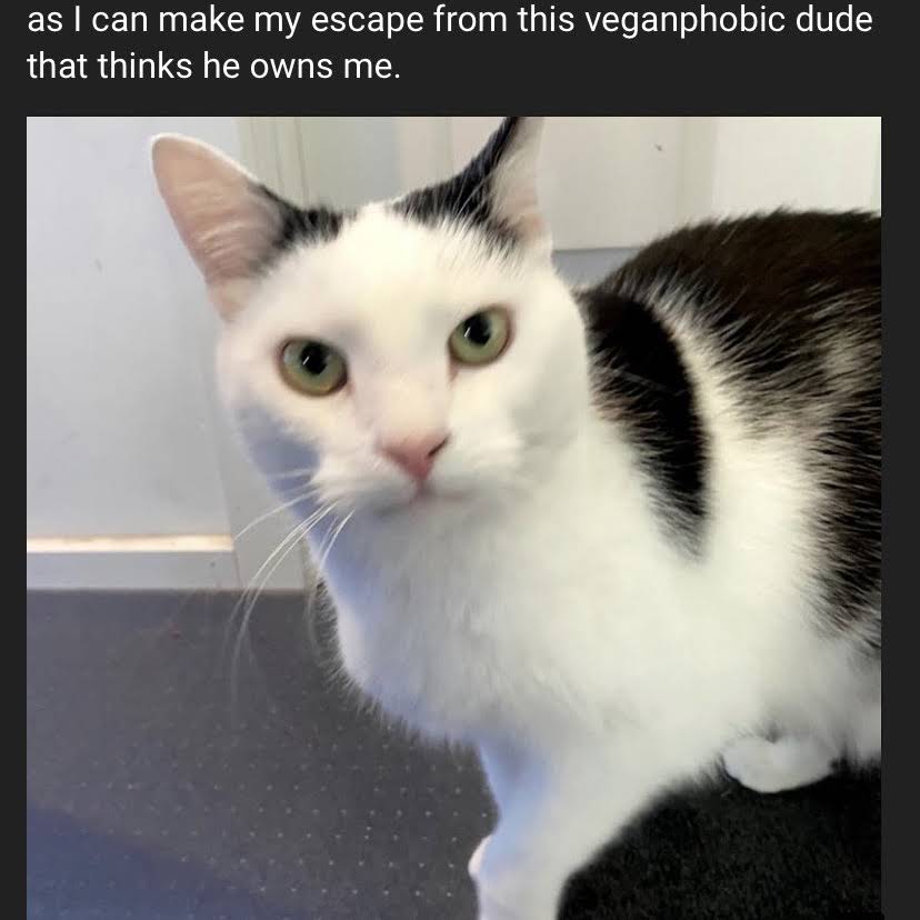 Post from HexClaw