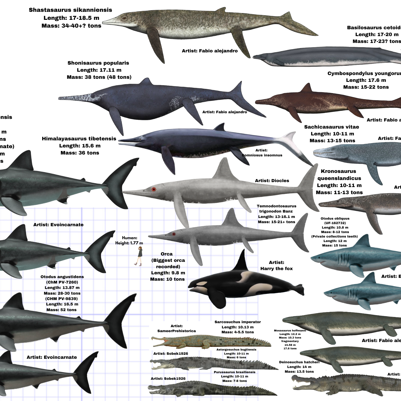 Post from Dizzy Rose