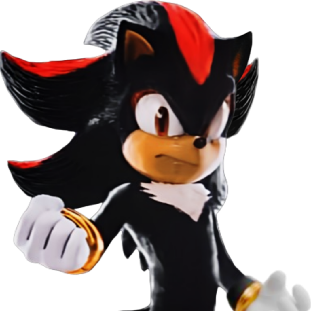 Post from Rogue & Sonic