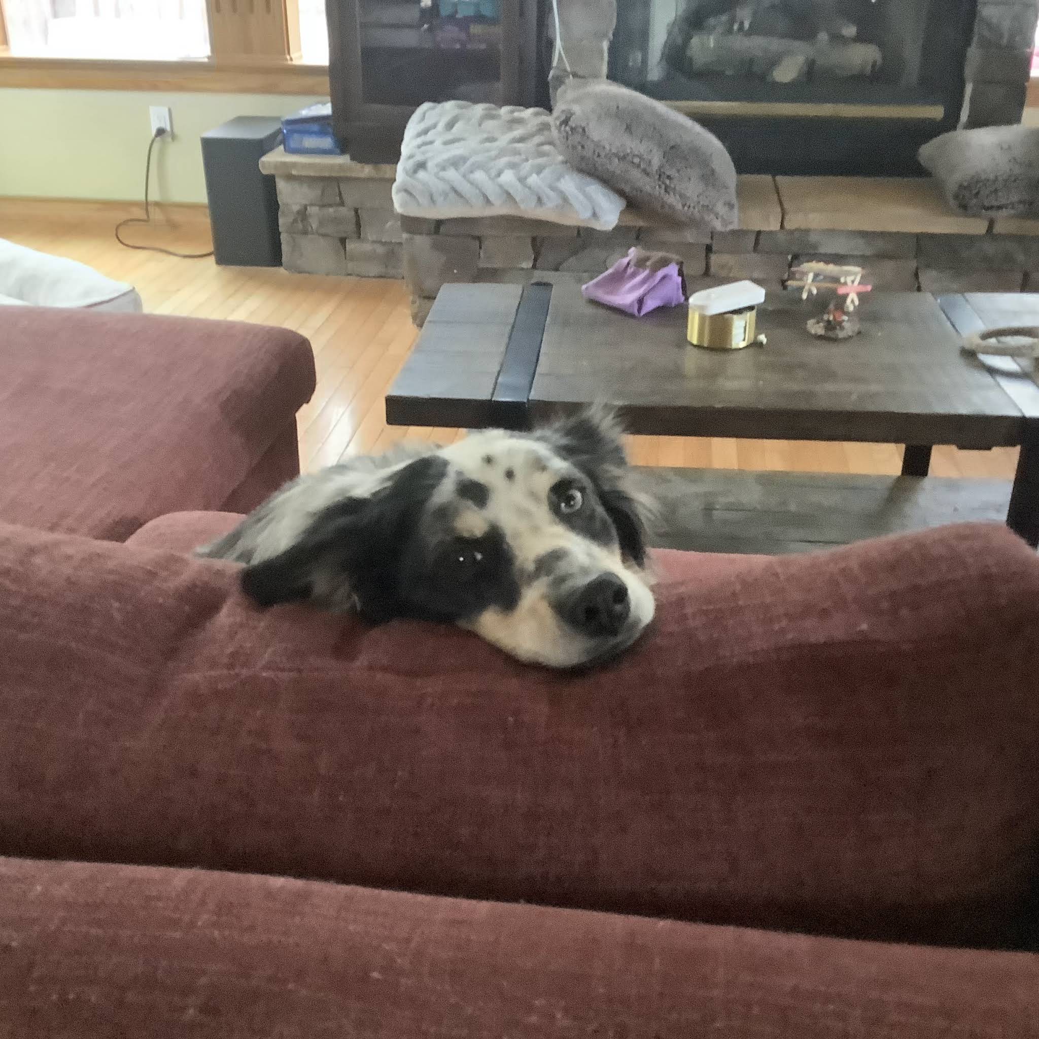 Post from ERIS’S DRAGONS