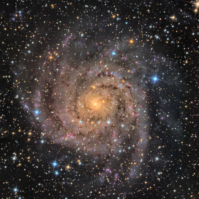 IC 342: Hidden Galaxy – Evolooka