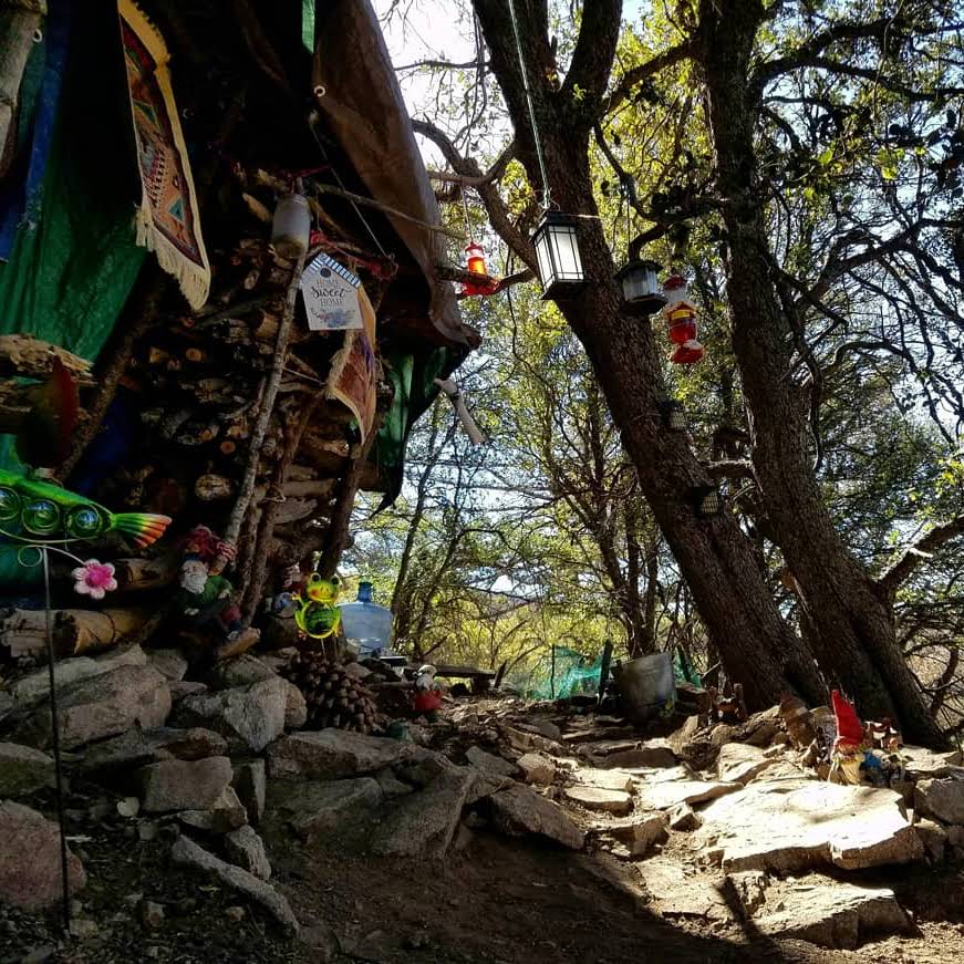 Post from Forest Anon