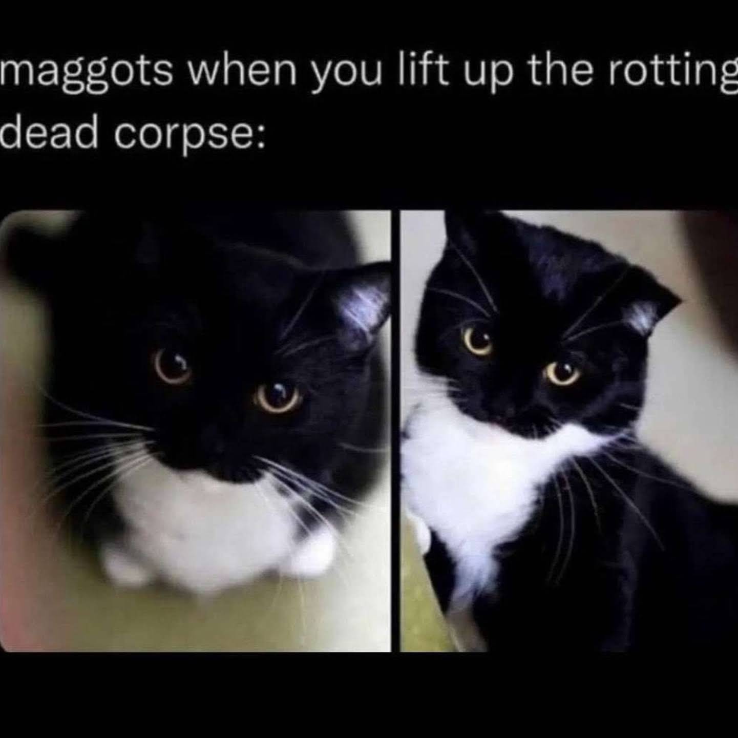 Post from Sillius The Third