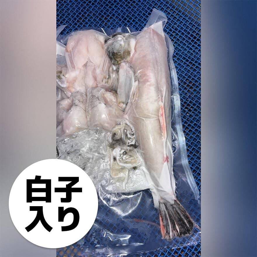 Post from へんな魚おじさんの寝言【Weird Fish Dude & Beard Brother】