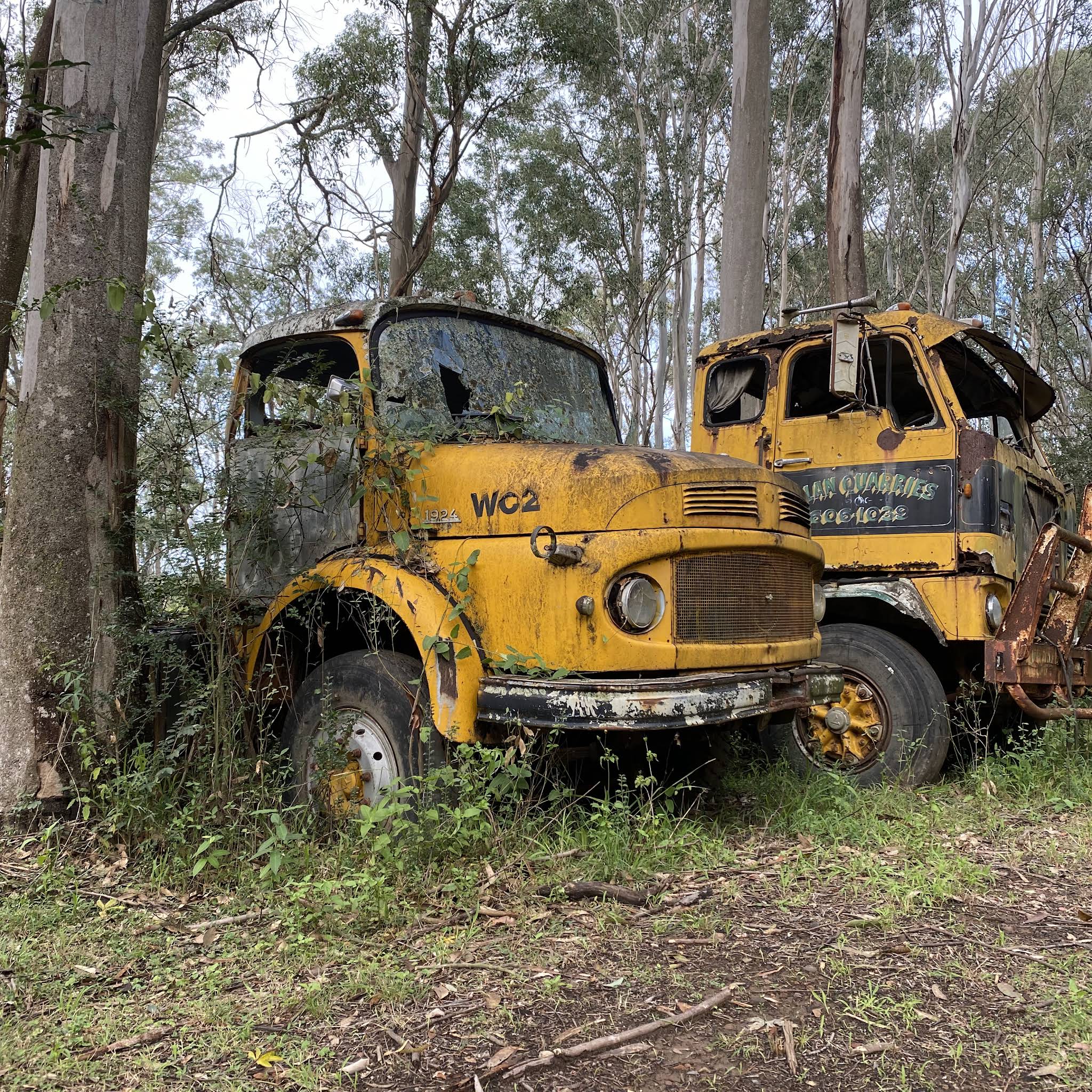 Post from Steve’s Place Down Under