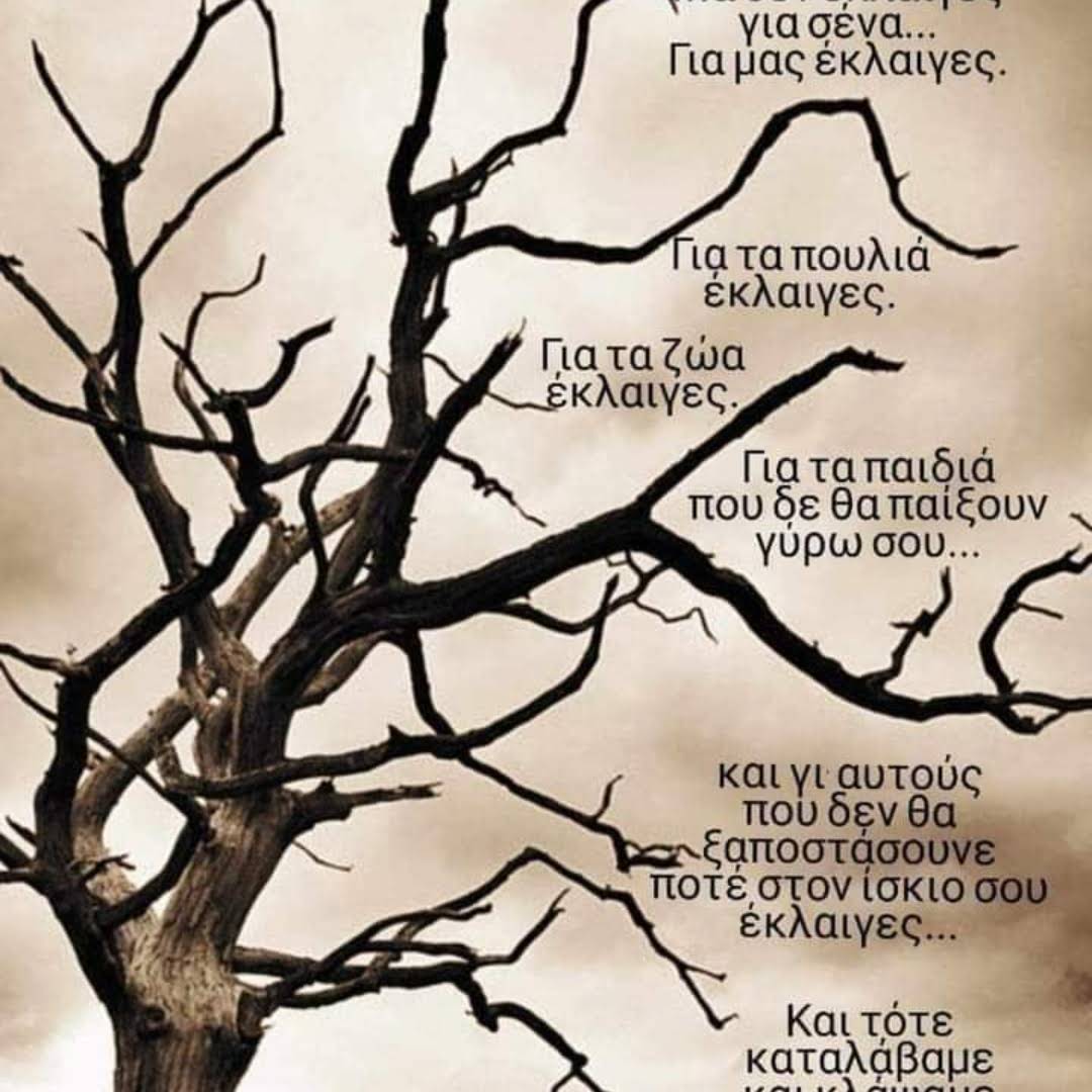Post from Φως Χριστου να διωξει το ανθρωποκτονο σκοταδι