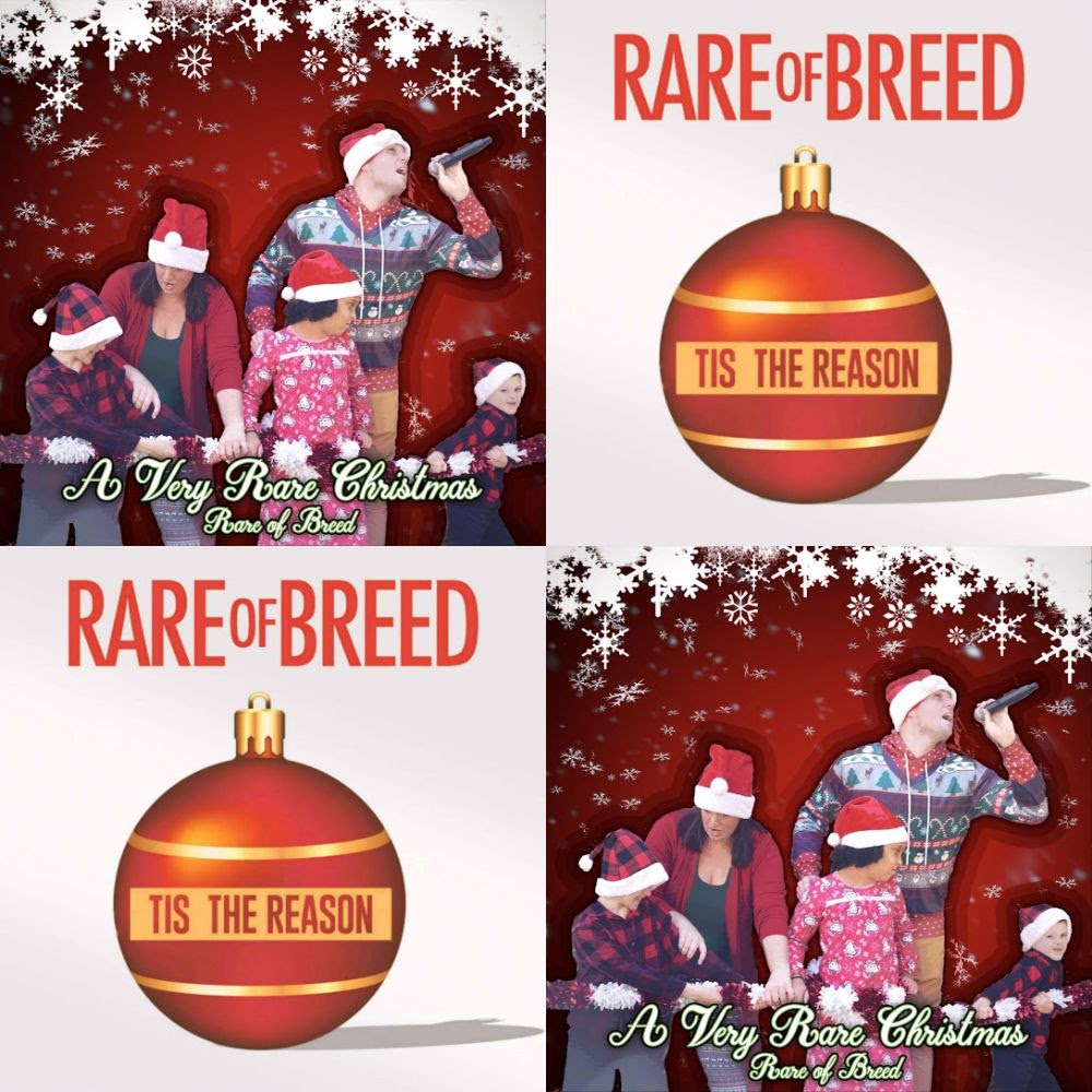 A VERY RARE CHRISTMAS
