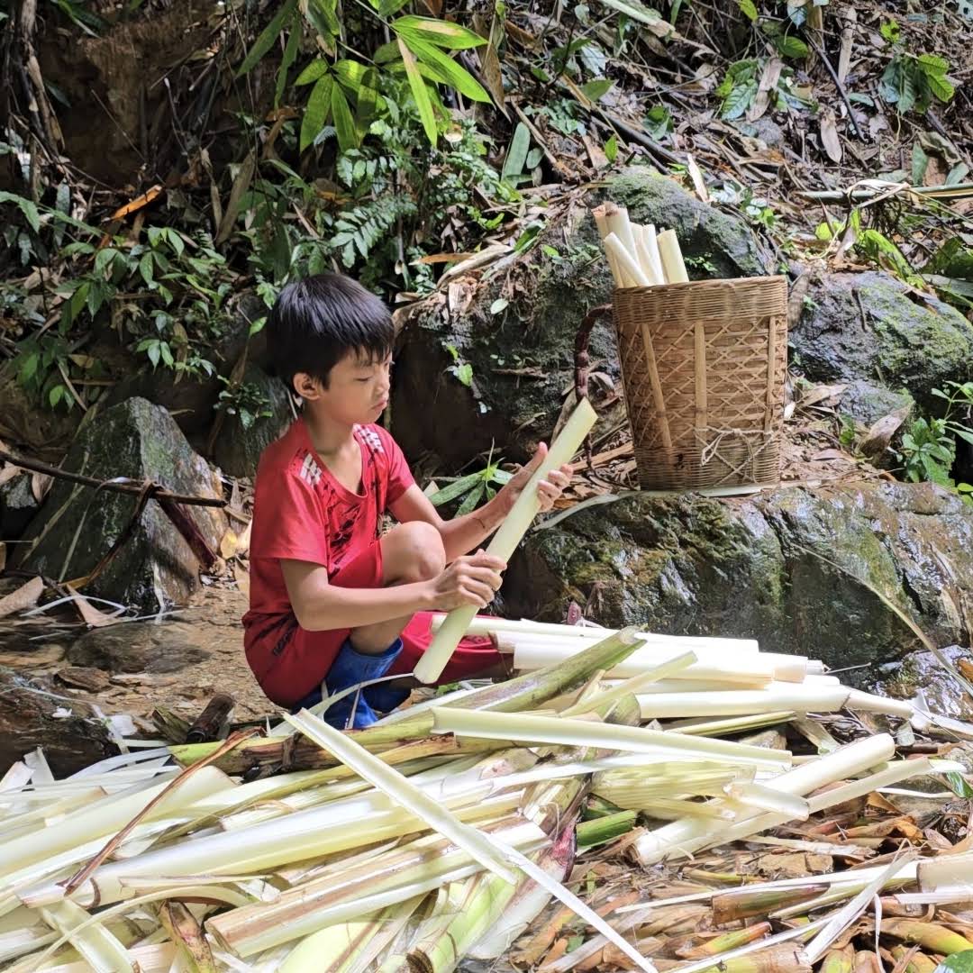 Post from Bac_wandering boy