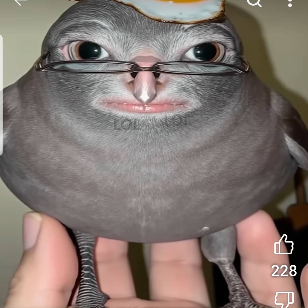 Post from Yoinks