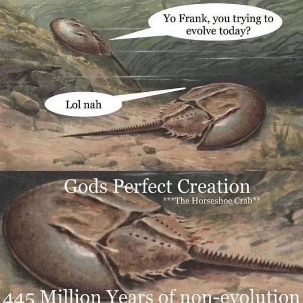 Post from SuperXavier