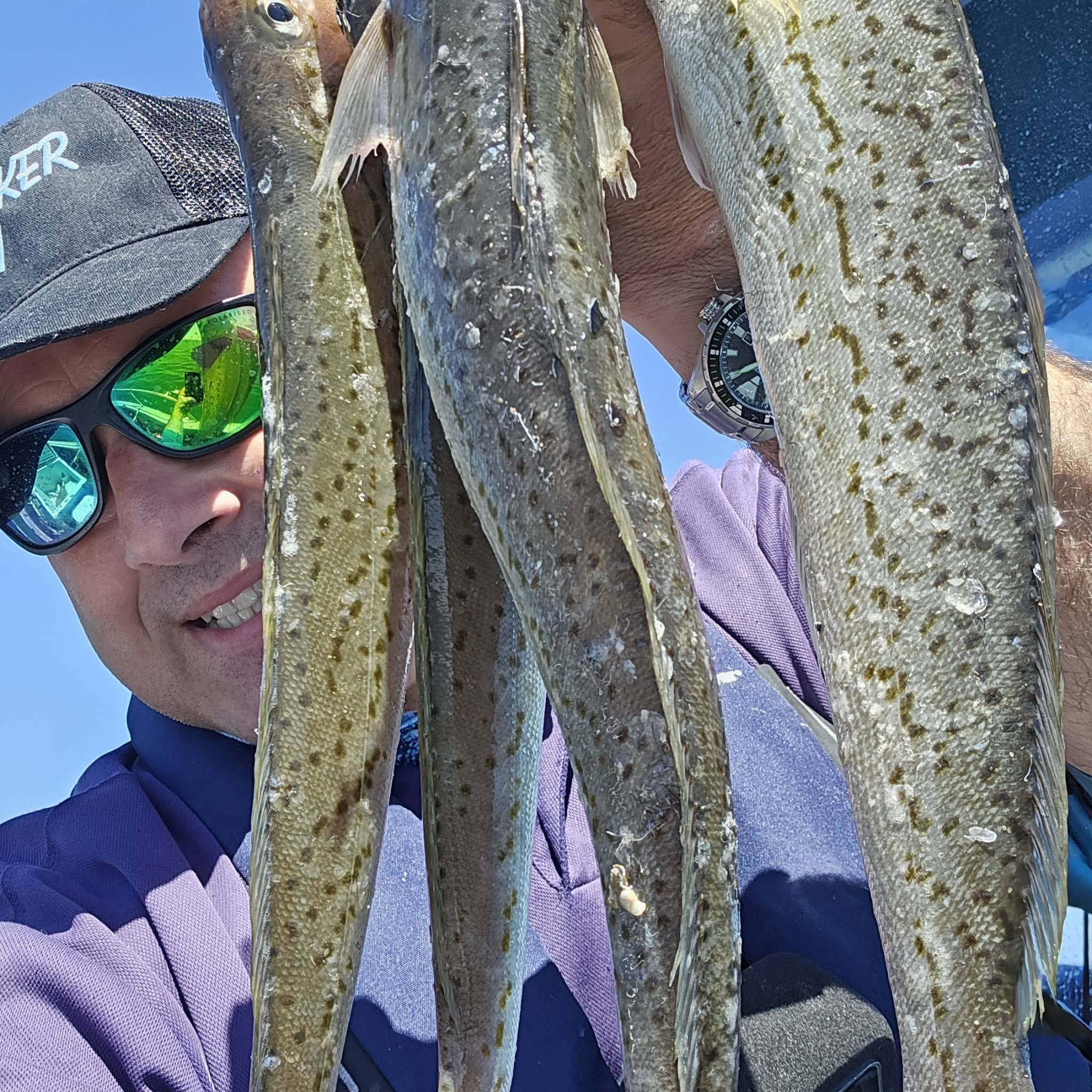 Post from Fish Tucker Man