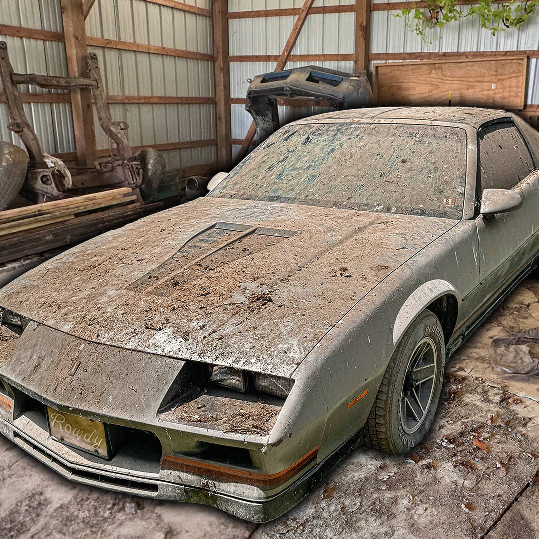 Post from WD Detailing