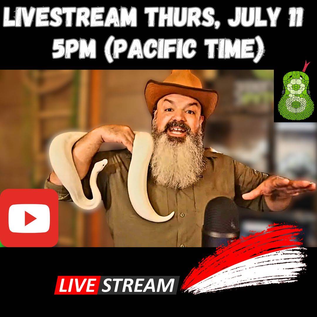 Post from Green Room Pythons